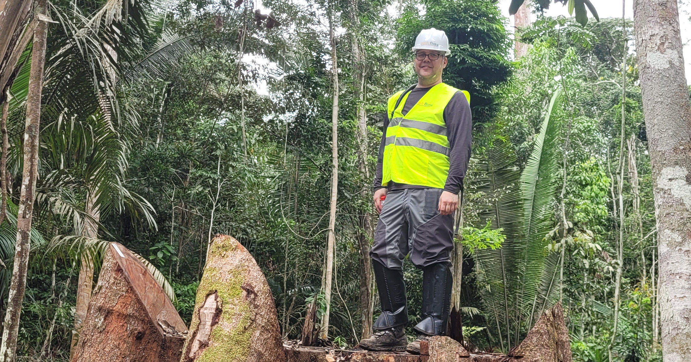 How FSC certification fights deforestation