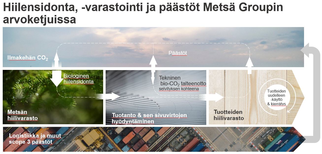 Uusiutuva hiili erottuu edukseen