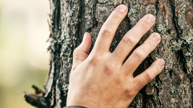 Metsä Tissue: manufacturer of tissue papers and greaseproof baking and ...