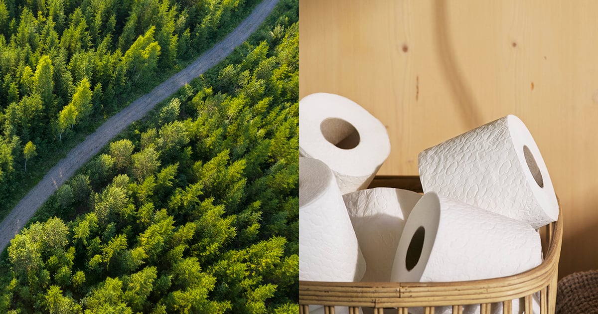 Video about the manufacturing of our tissue papers | Metsä Tissue