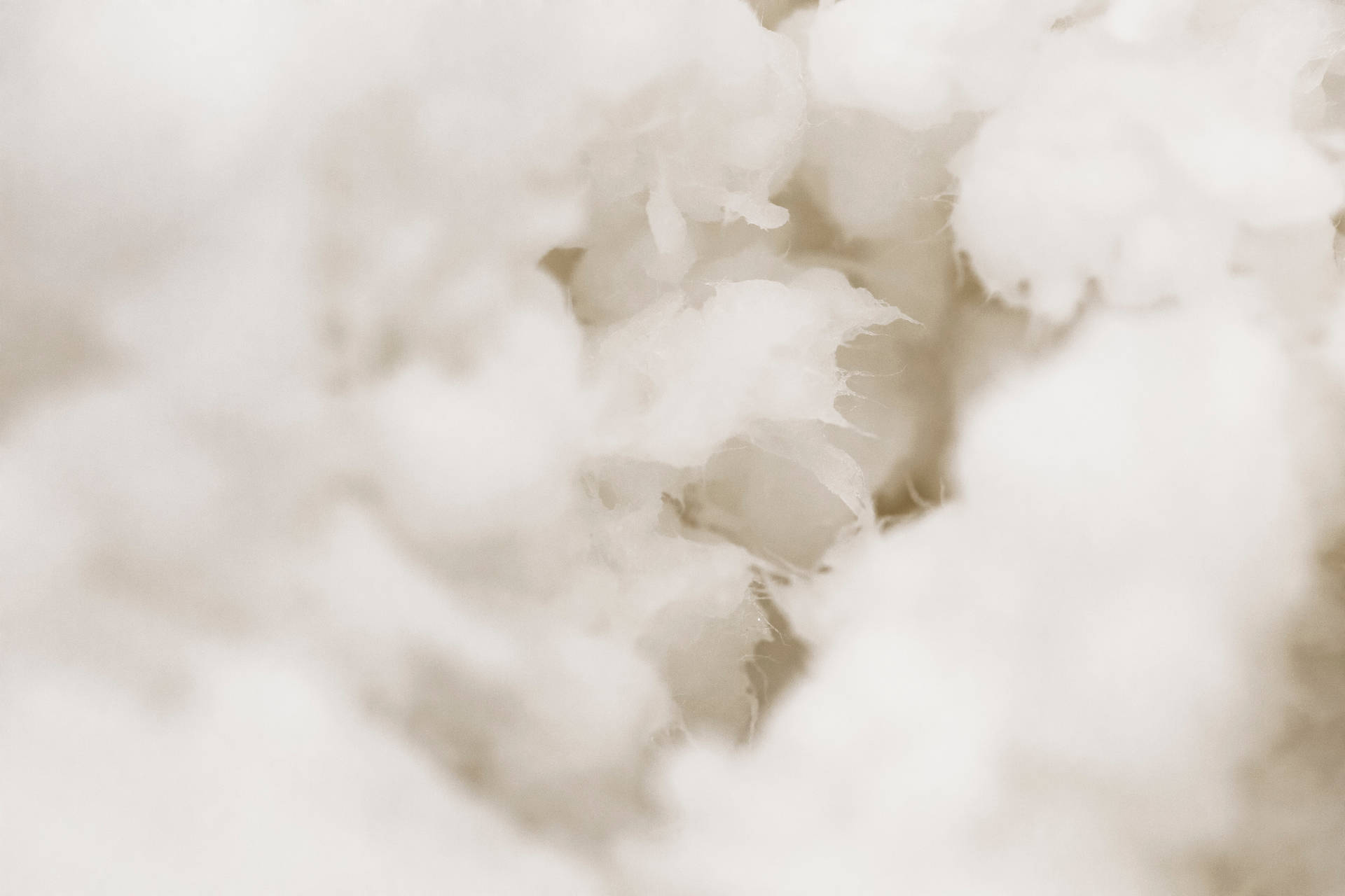 What is pulp? | Metsä Fibre