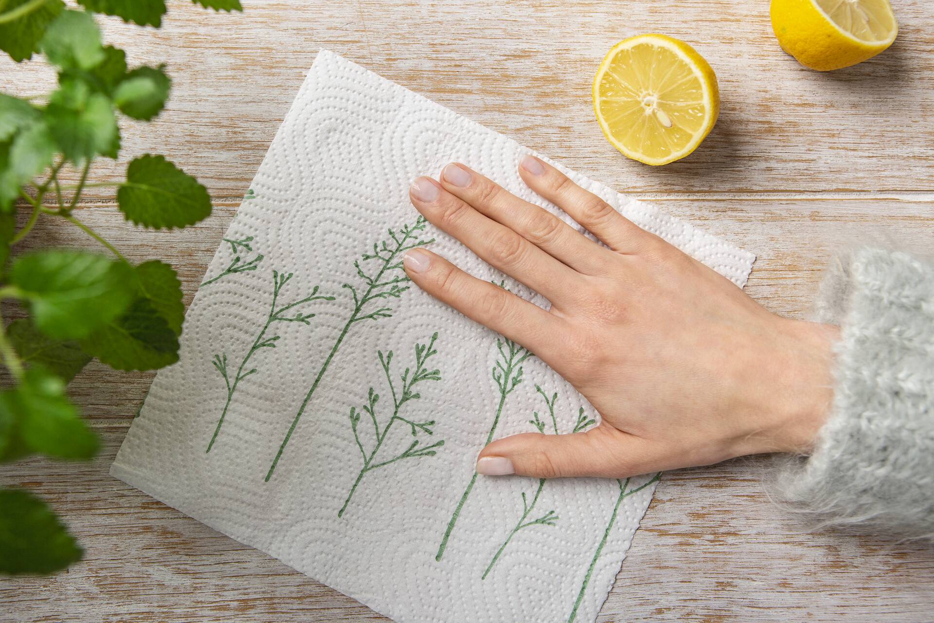 Lambi Decorated hushållspapper