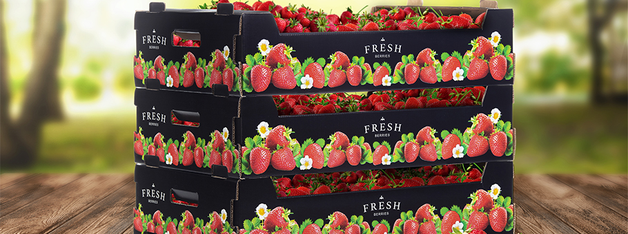 New corrugated berry packaging complements premium strawberries with ...