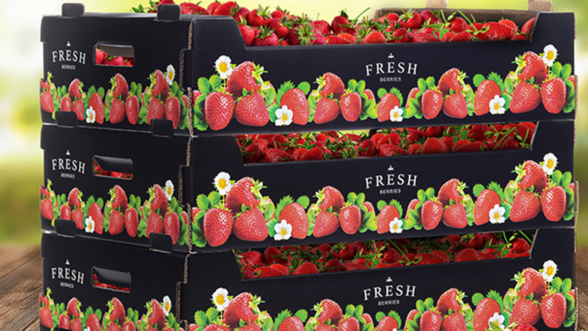 New corrugated berry packaging complements premium strawberries with ...