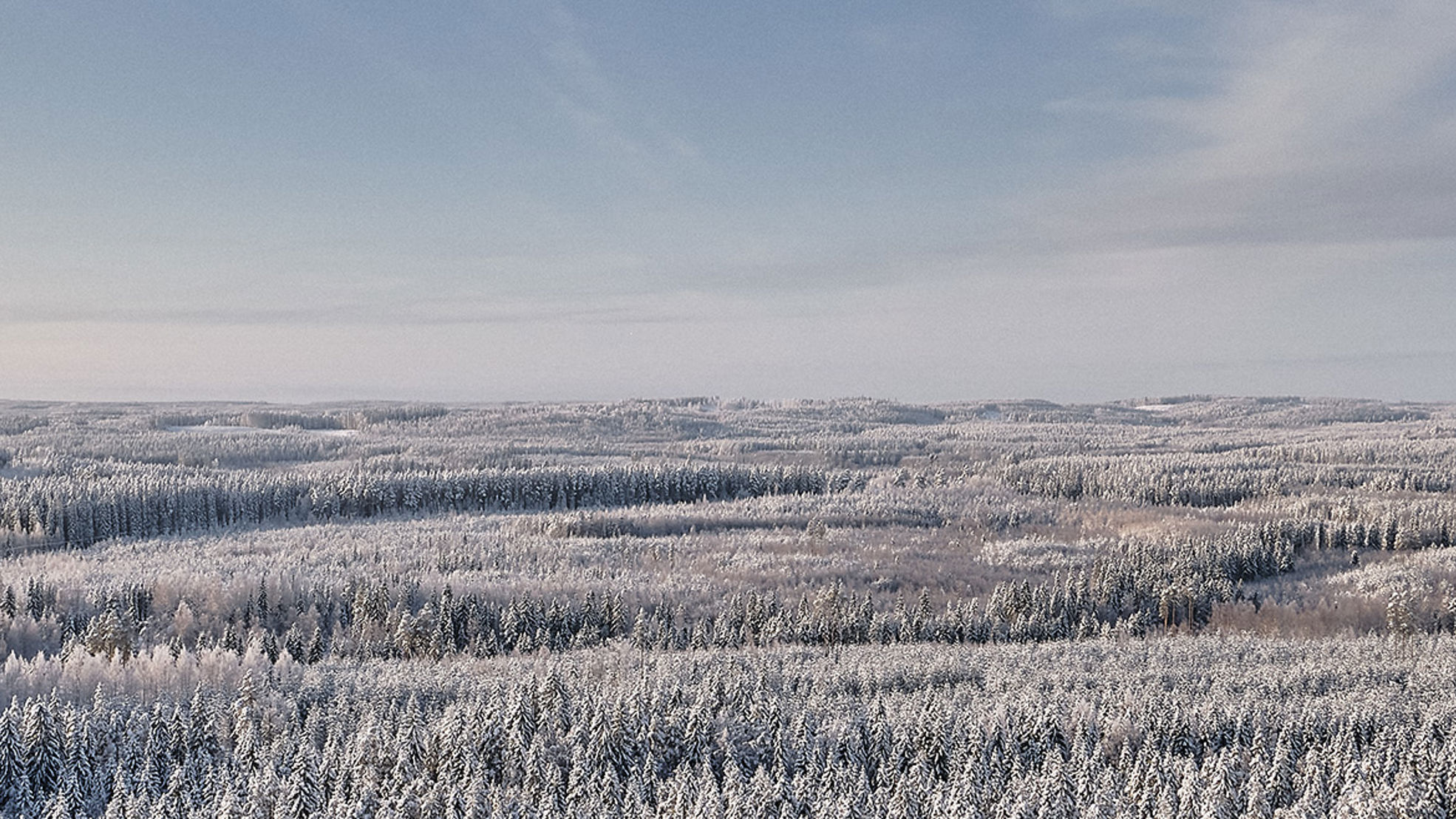 Metsä Board recognised again with triple CDP ‘A’ score for transparency ...