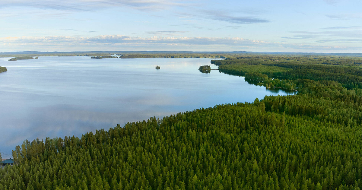 Metsä Board recognised with an outstanding triple CDP ‘A’ score for its ...