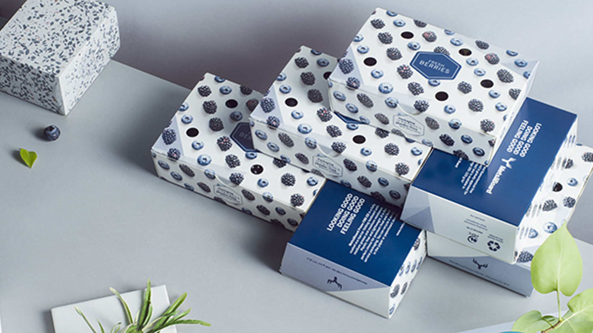 Metsä Board paperboards hold industrial compostability certifications