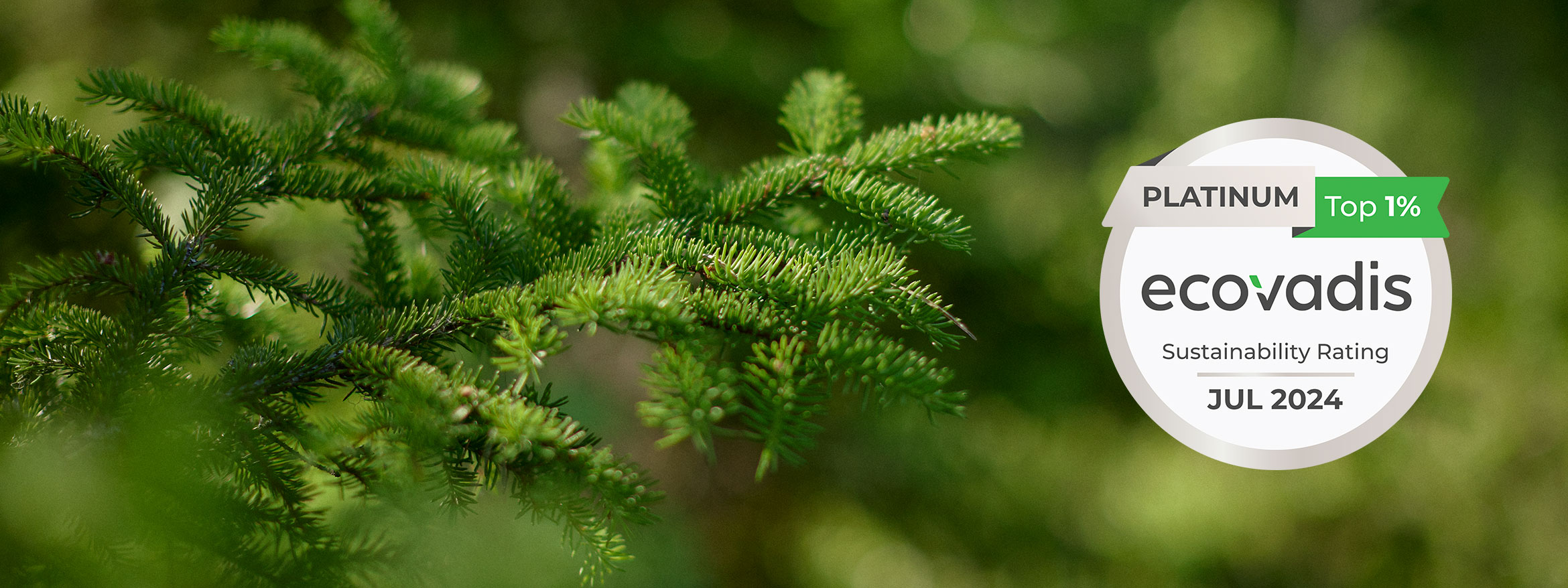 Metsä Fibre receives EcoVadis’s highest level of recognition for the ...