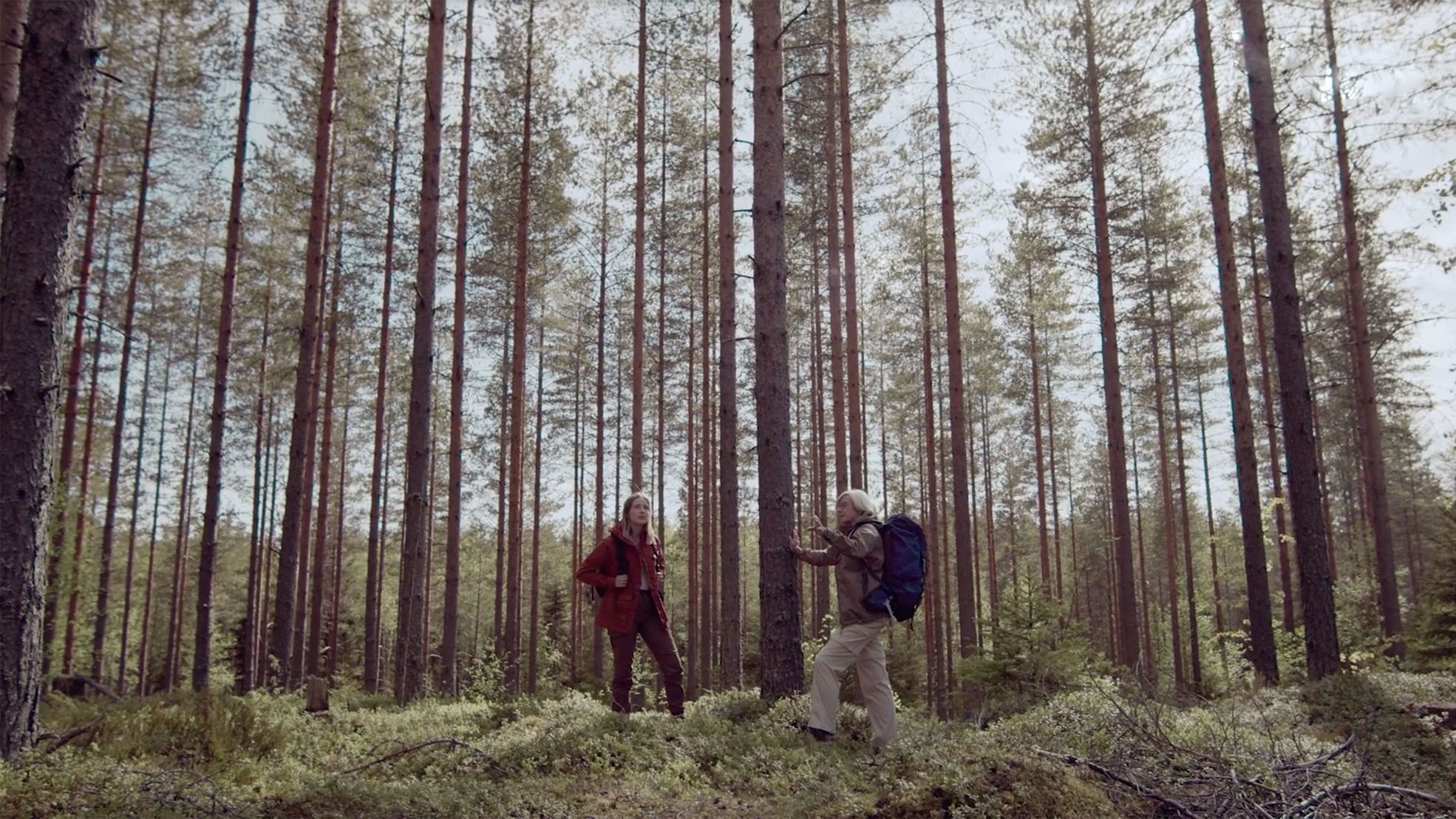 Sustainability begins in the forests - video