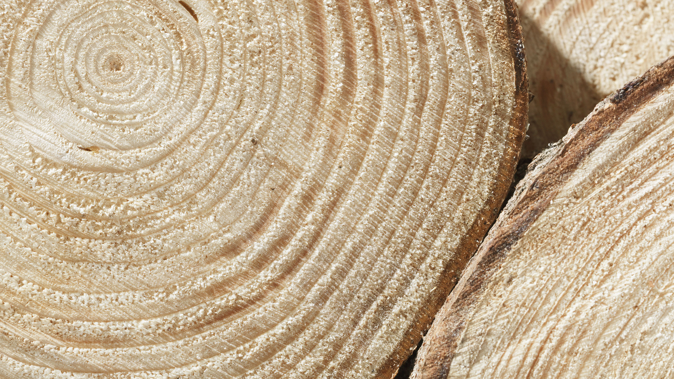 Targeting completely fossil-free raw materials | Metsä Fibre