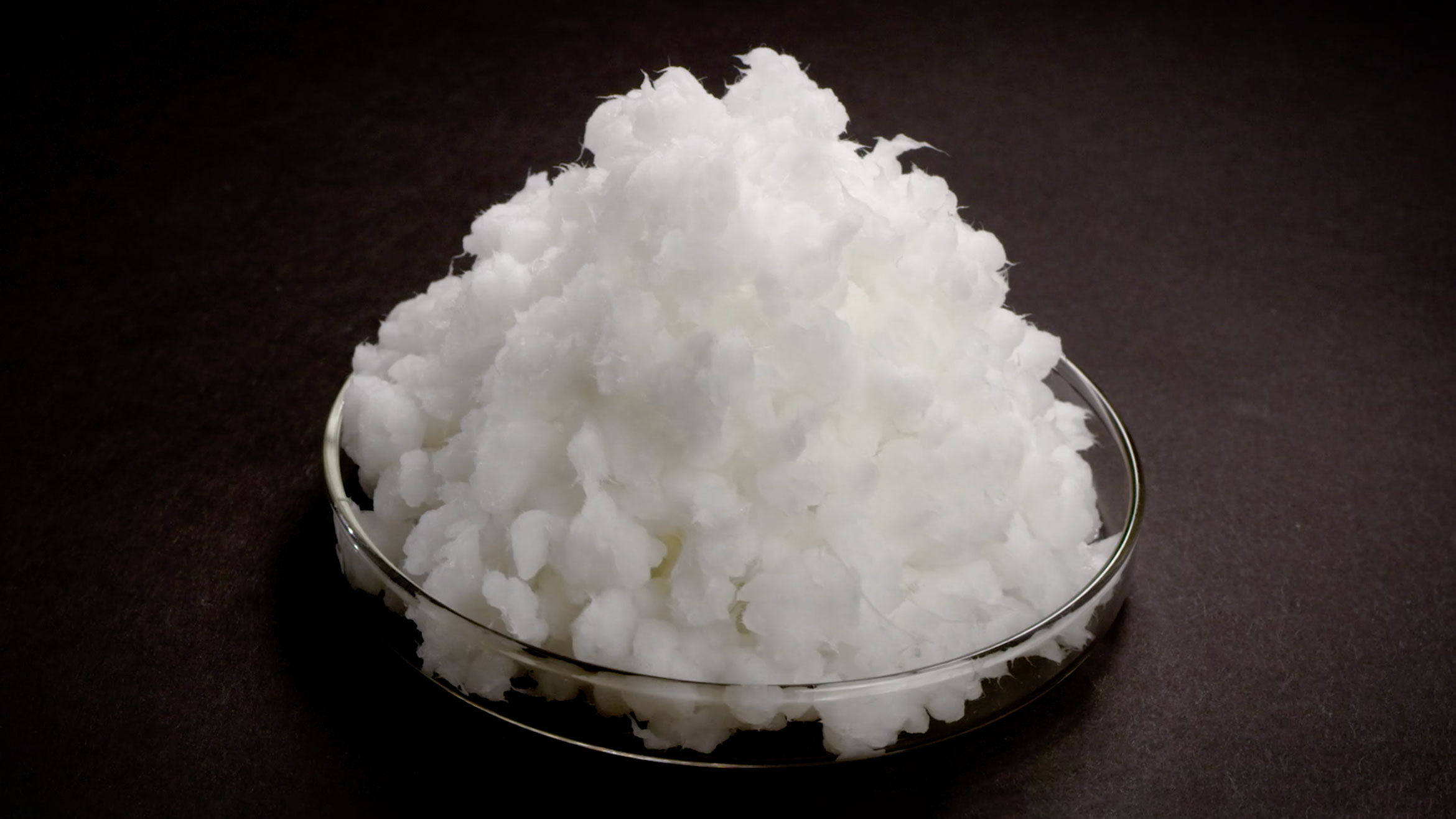 We manufacture the most responsible pulp in the world | Metsä Fibre