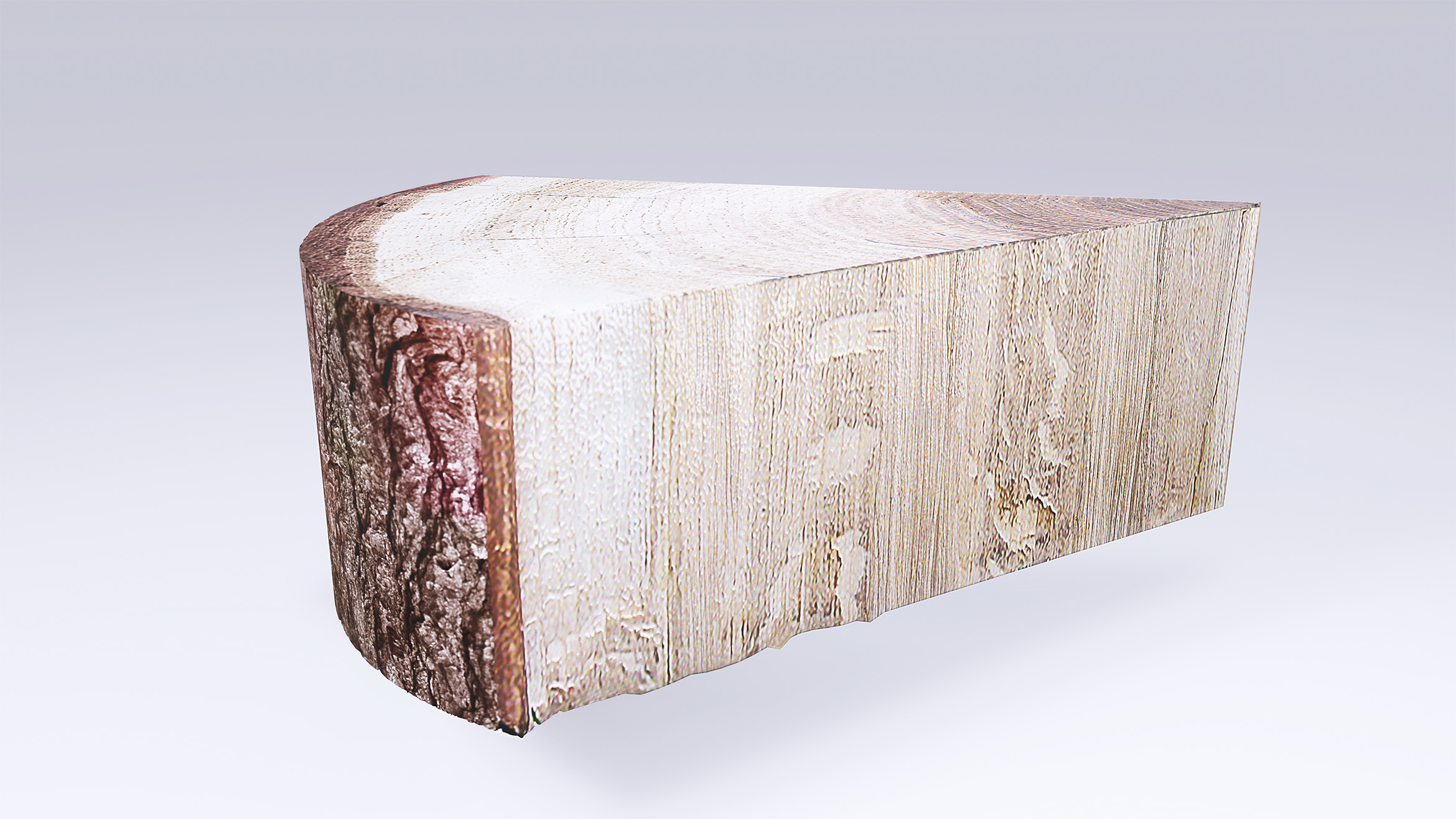 Spotlight on Nordic conifer | Metsä Fibre