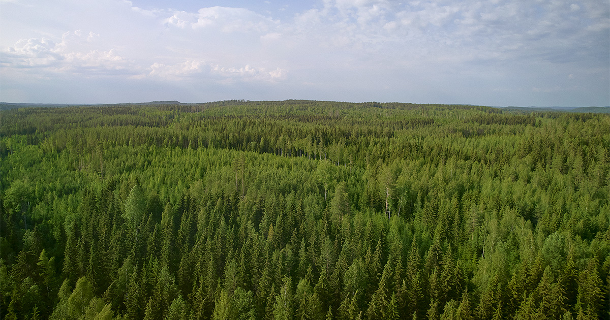 ESG targets in Metsä Fibre’s daily operations: Part E – Environmental ...