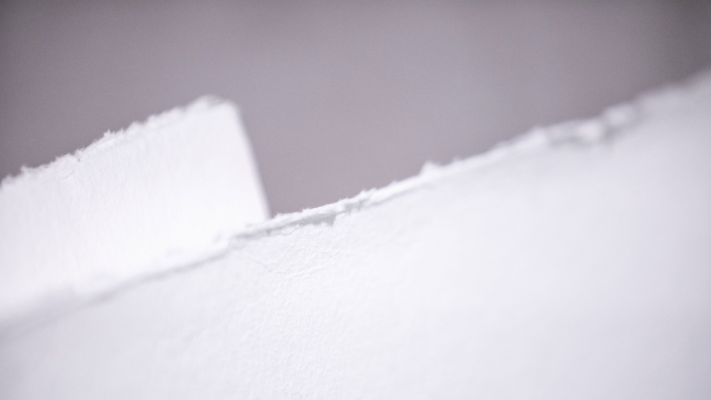 Softwood pulp | Metsä Fibre