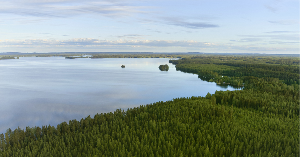 Our sustainability targets 2030: Environment | Metsä Fibre