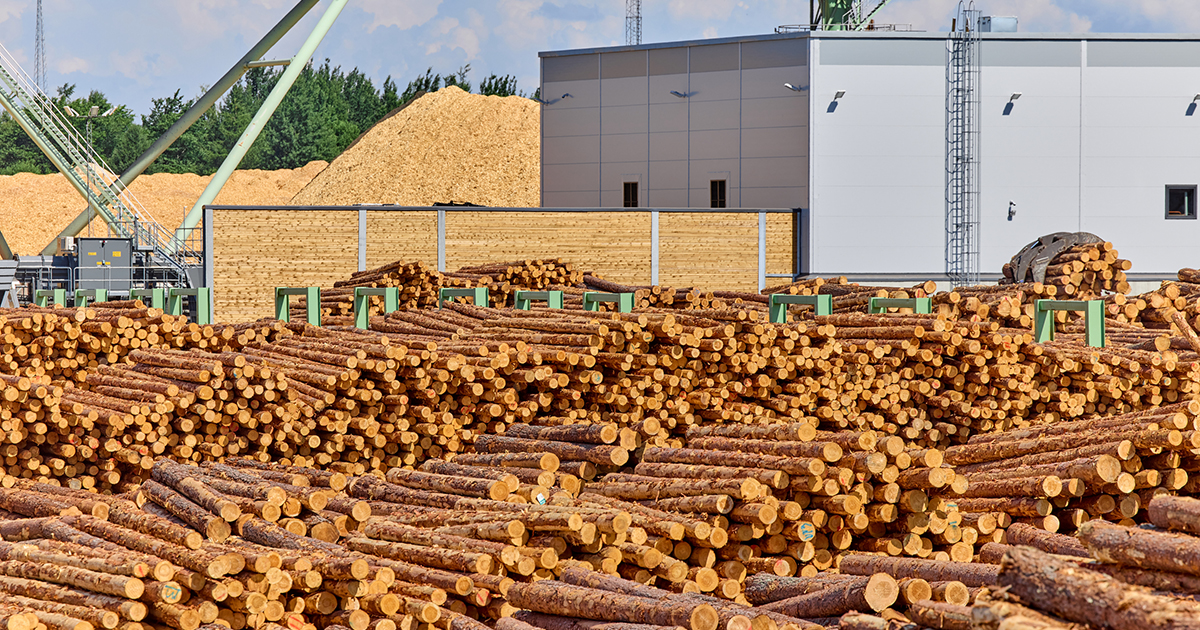Efficient log sorting | video | Rauma sawmill | Metsä Fibre