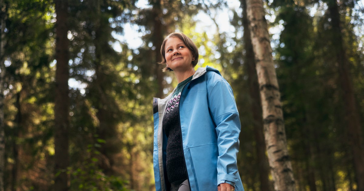 Metsä Group will pay all its owner-members a bonus for wood sales ...