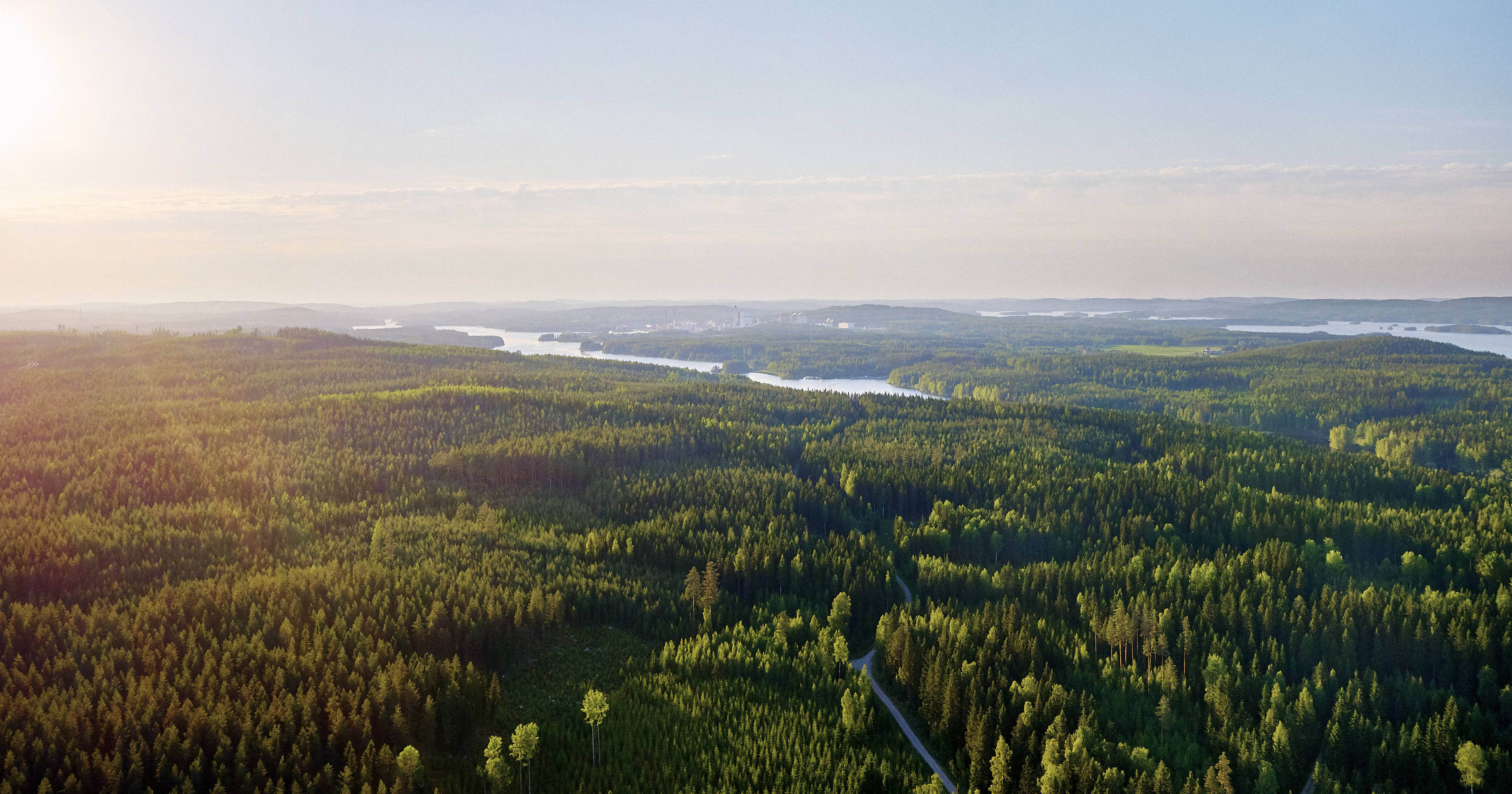 New forest management model for Metsä Group’s wood supply to boost the ...