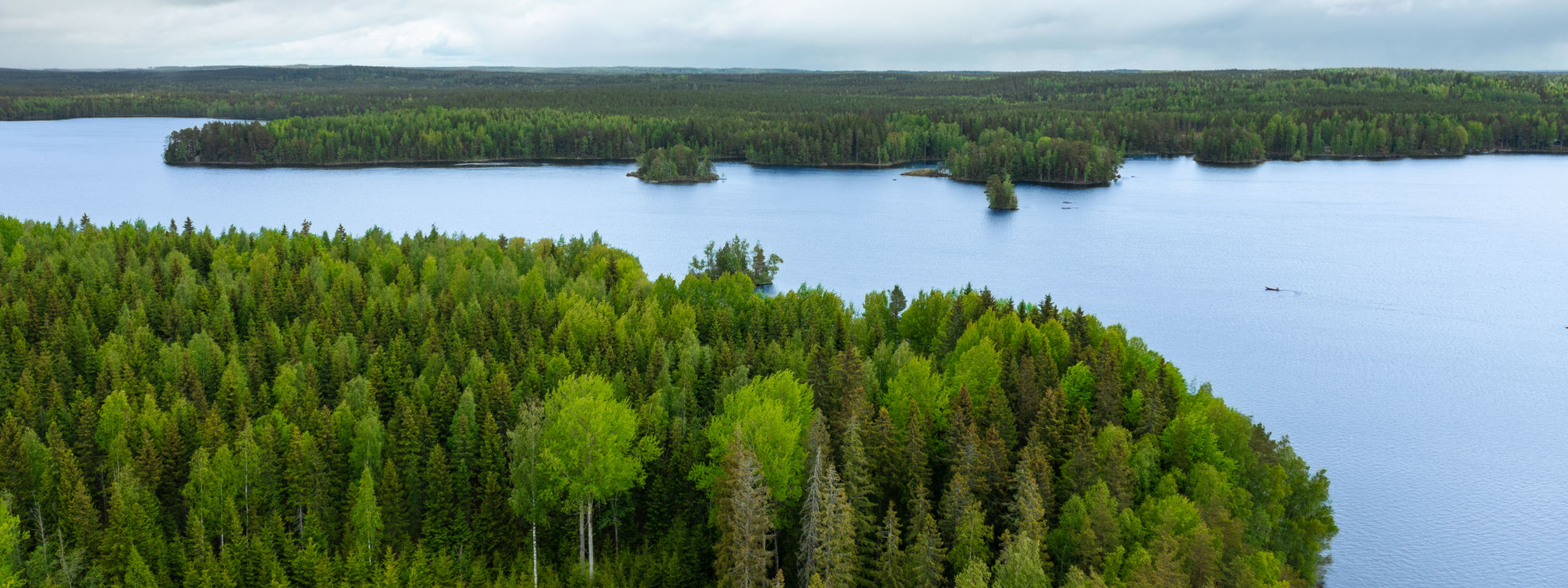 Metsä Group maksaa monimuotoisuutta korostavista Metsä Group Plus ...