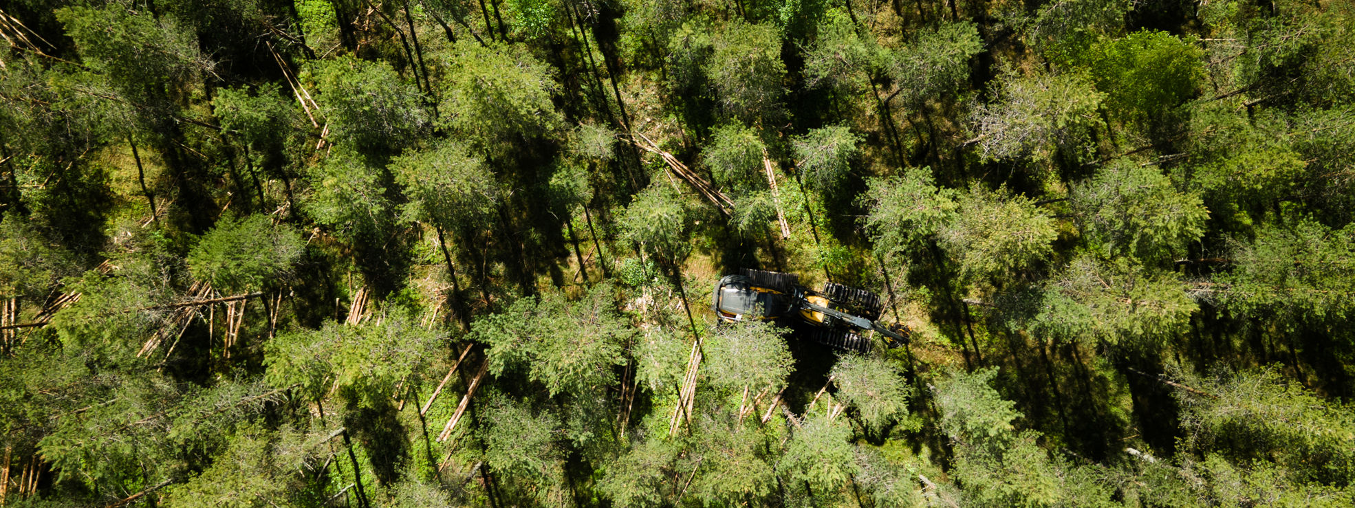 Metsa Group conducts over 1,500 quality inspections across Finland in ...