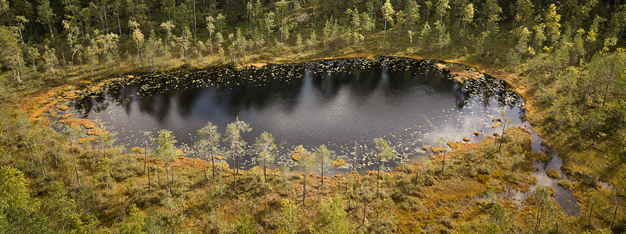Metsä Group och Dasos anskaffar värdefulla naturobjekt för Metsä Groups ...