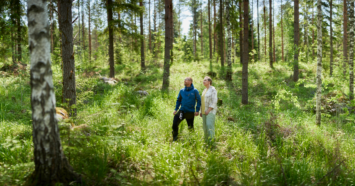 Winners of Metsä Group’s Renew Metsä idea competition chosen
