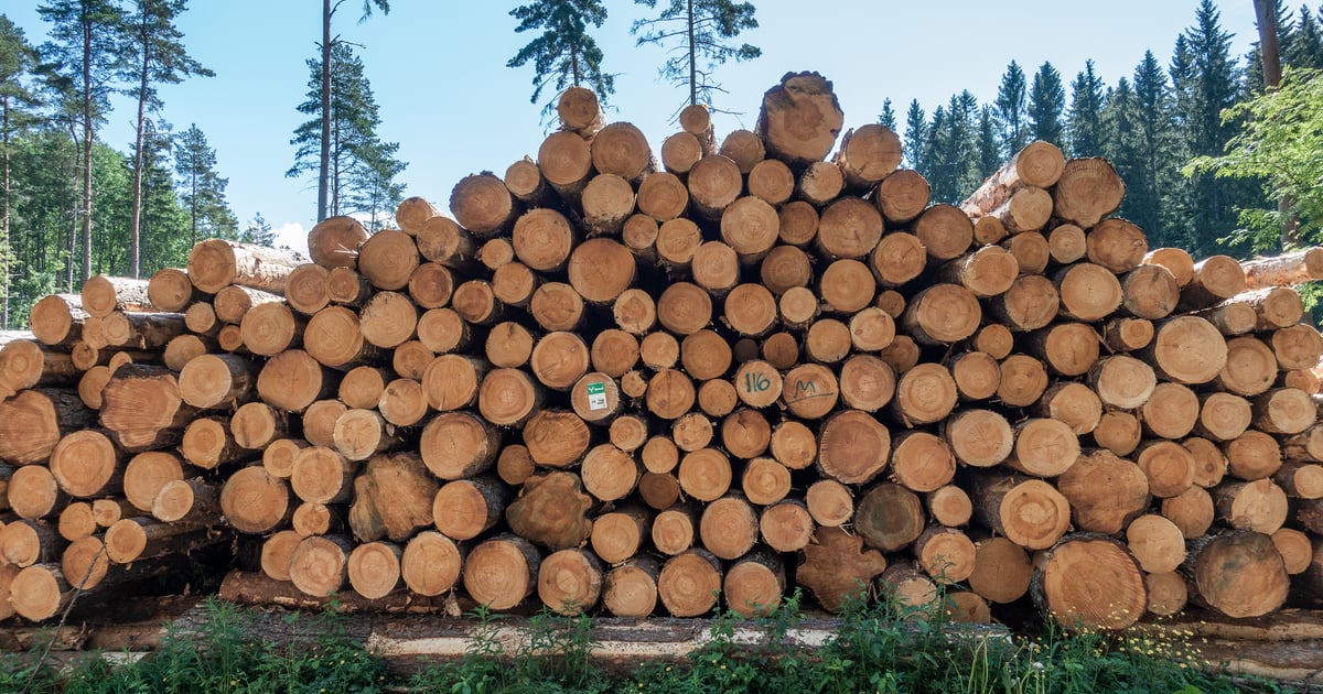 Metsä Group signs first contracts under the renewed operating model for ...