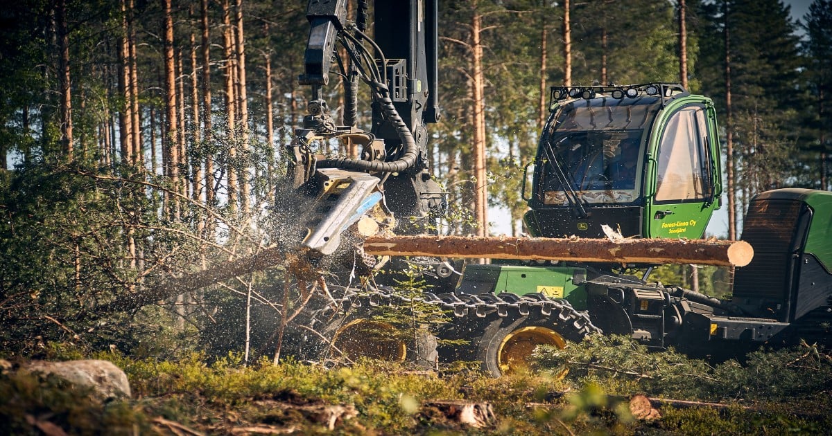 Different felling methods