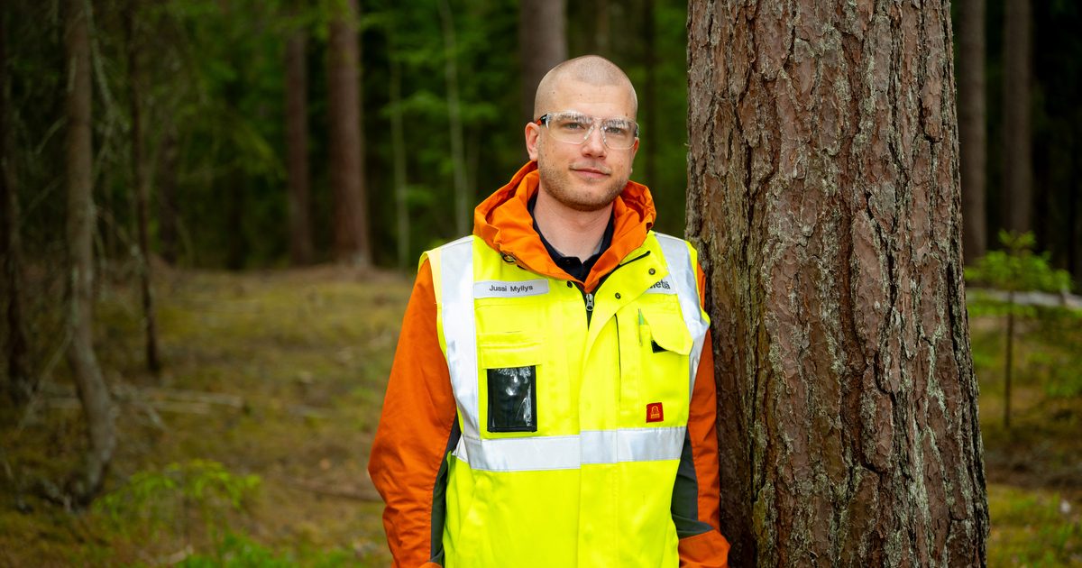 Specialists in forest nature management are an investment in ...