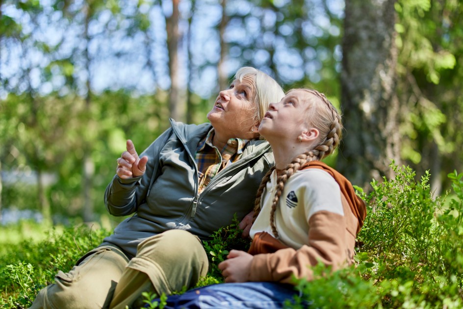 Aloita metsätilan sukupolvenvaihdos ajoissa