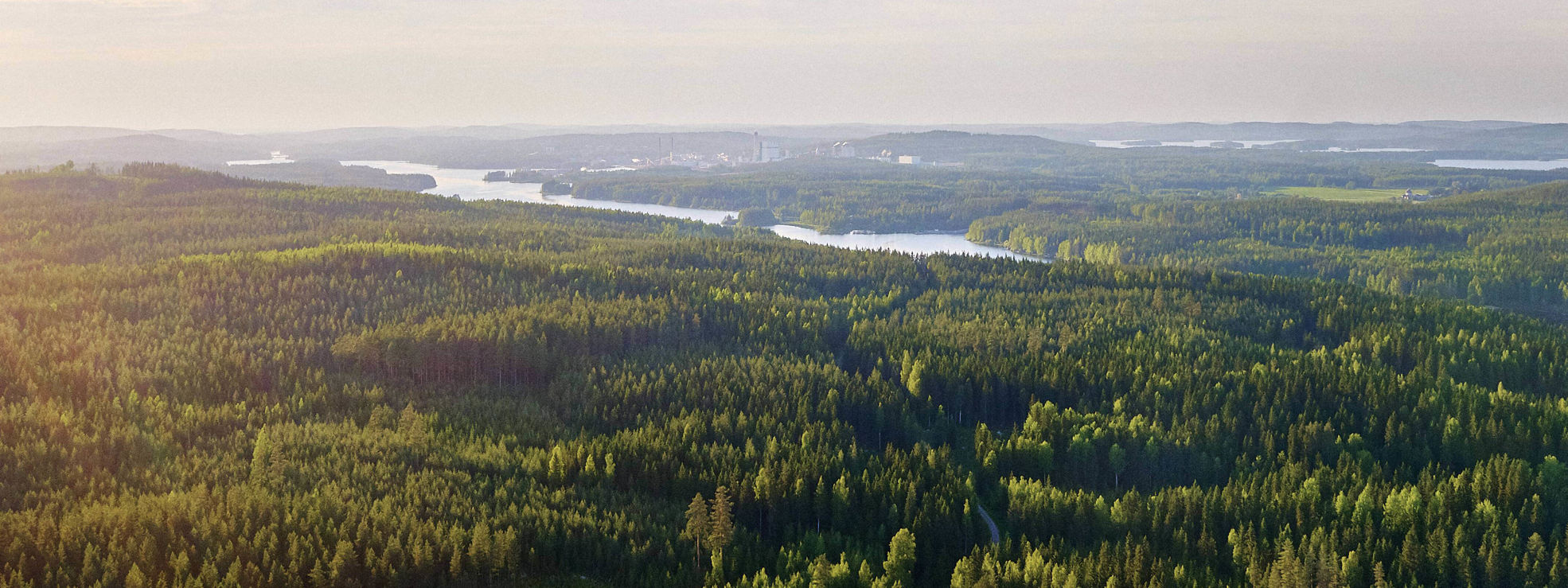New forest management model for Metsä Group’s wood supply to boost the ...