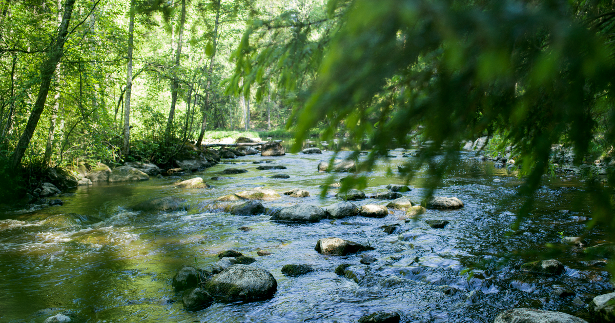 A sense of community is needed to strengthen the state of nature