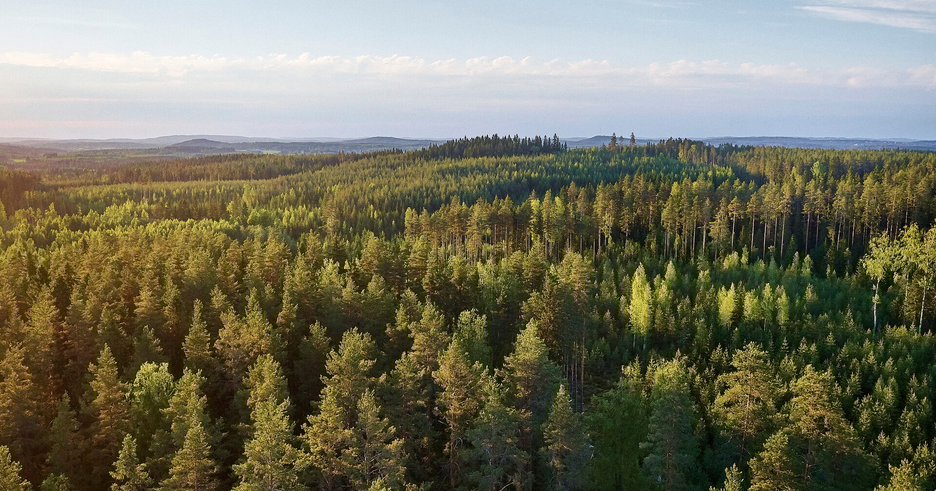 Metsä Group marks a historical turning point with the adoption of regenerative forestry principles