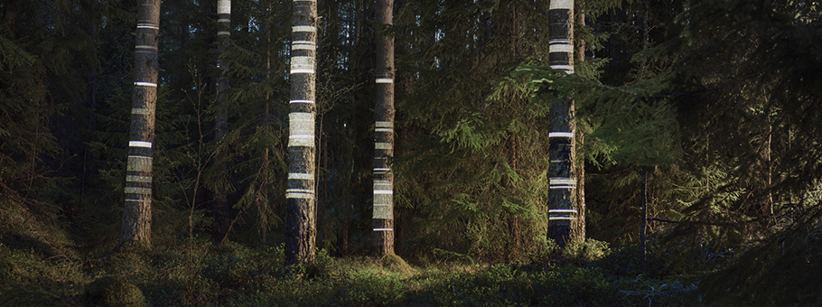 The era of intelligent forests – digitalisation of Finnish forests is ...