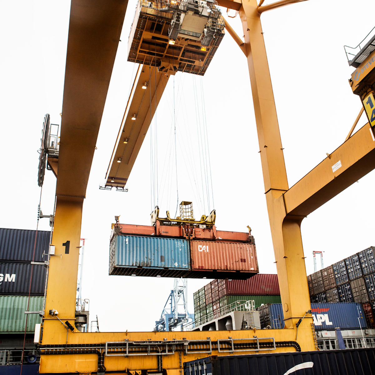 Kesätyöt – Löydä urapolkusi Metsästä