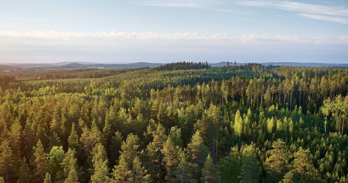 About us | Metsä Group