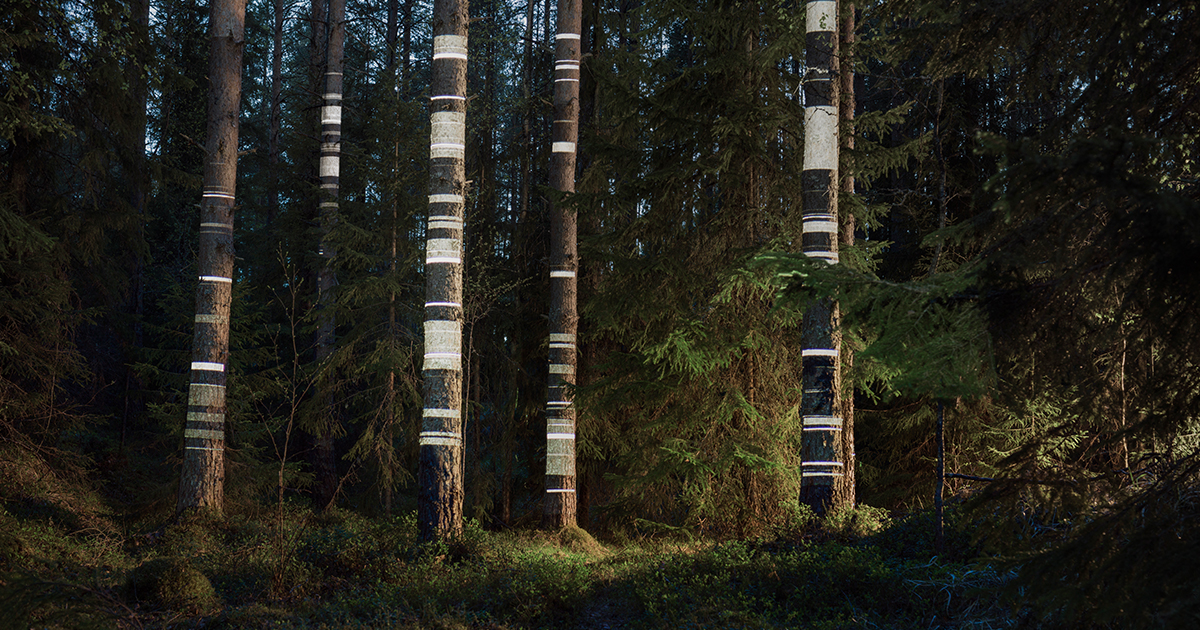 Virtual forests are coming