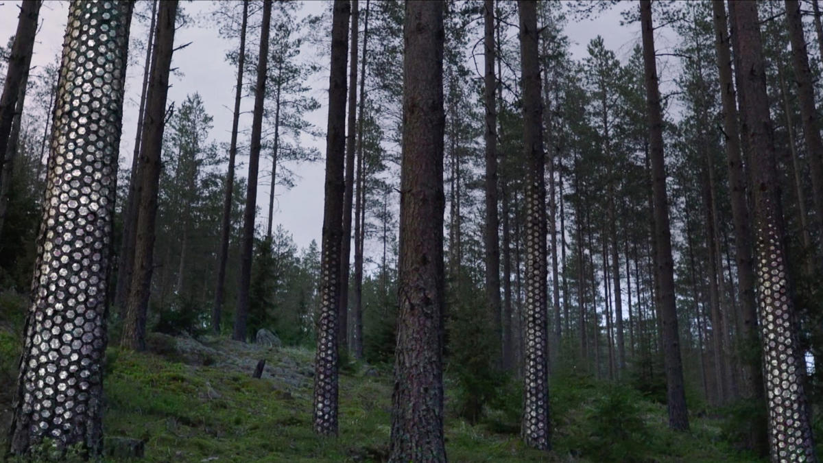 Wood supply goes digital