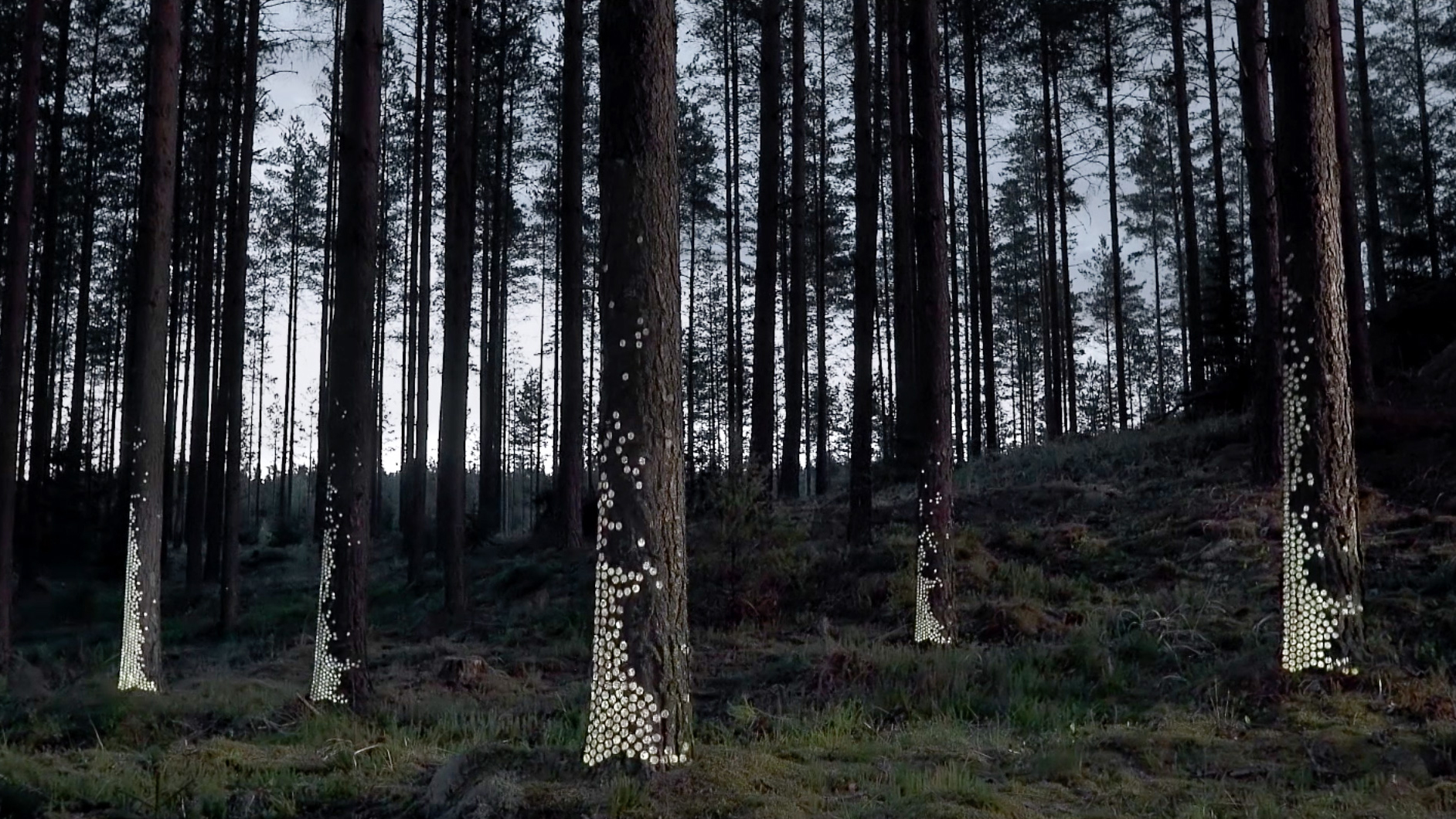 Wood supply goes digital