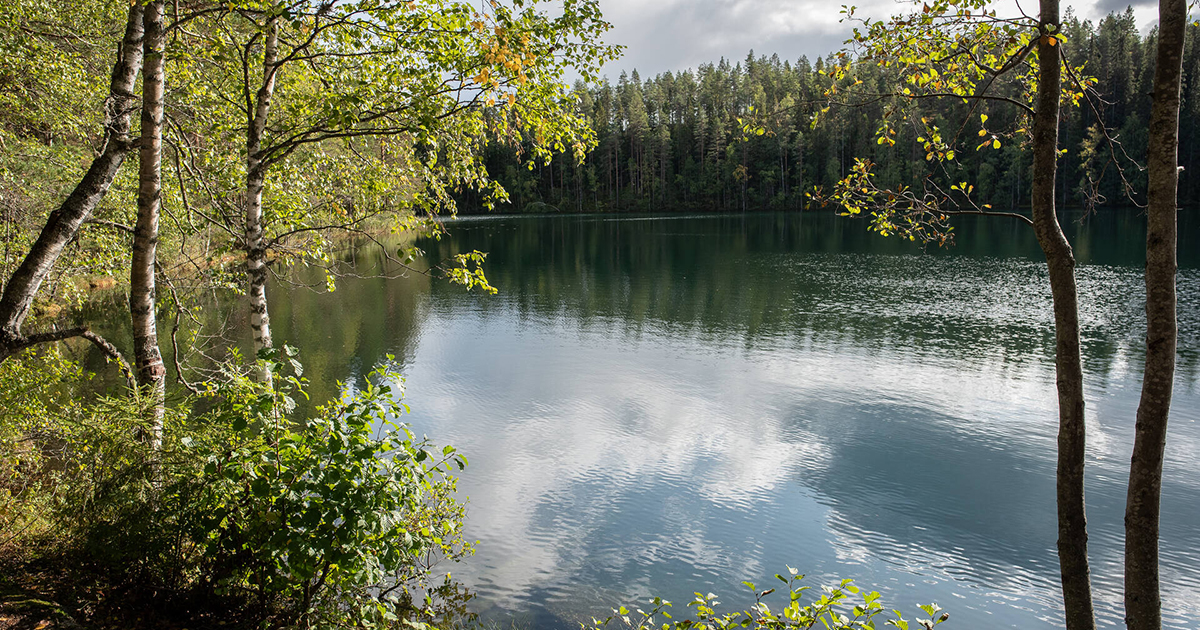 Nature management programme