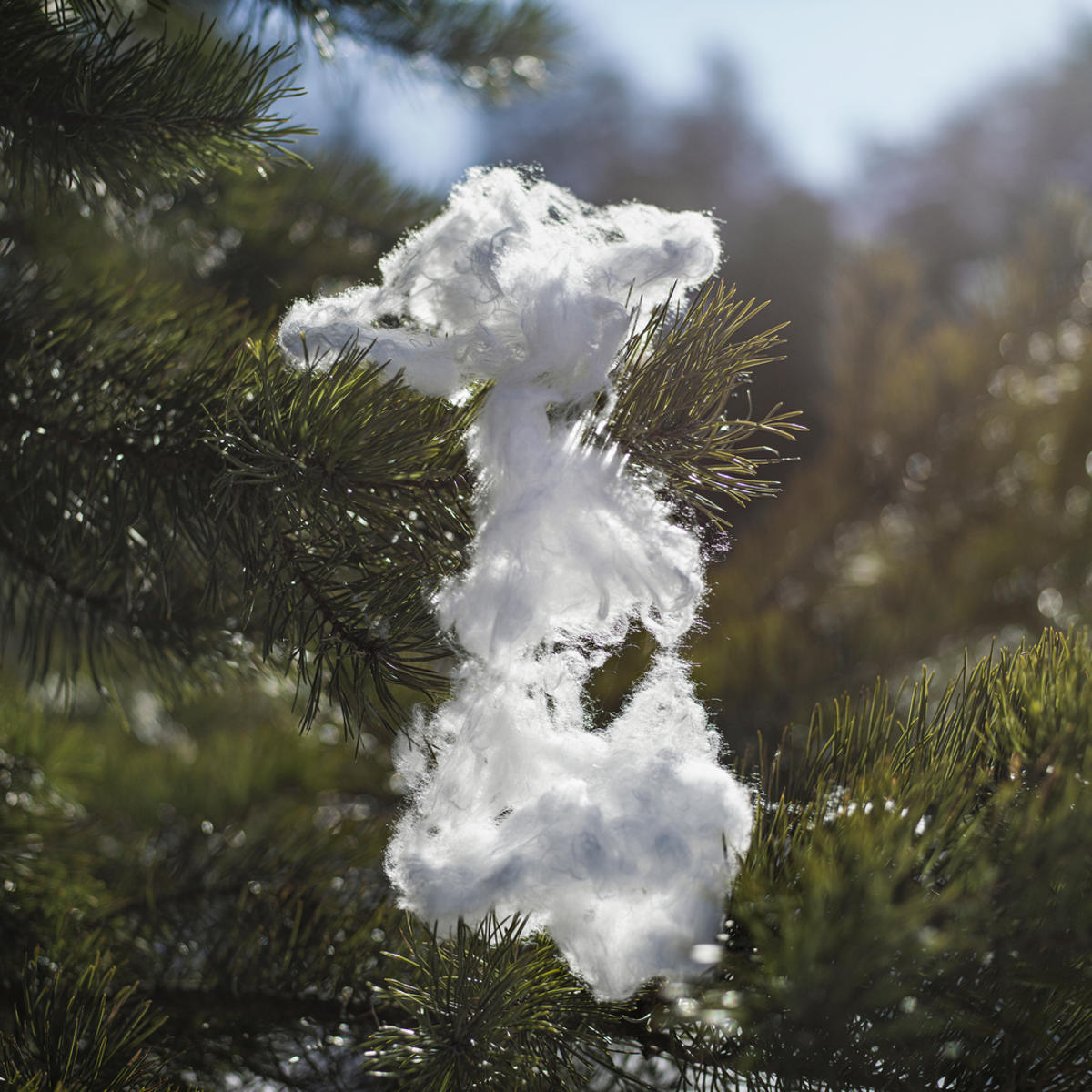 Metsä Spring is Metsä Group’s innovation company