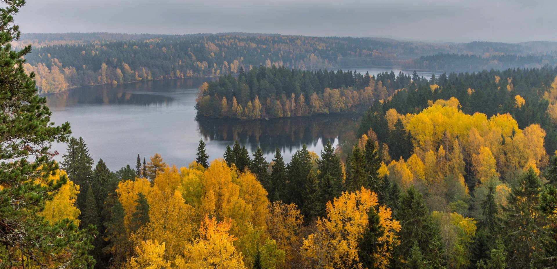 How to improve the environmental footprint of tissue products? | Metsä ...