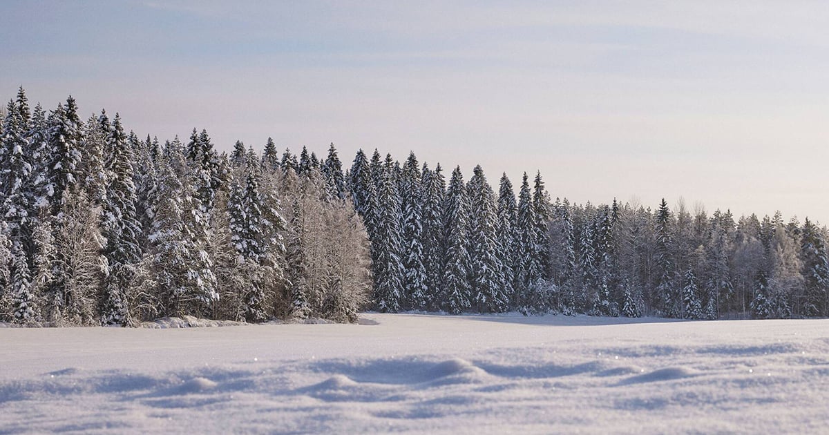 CEO Esa Kaikkonen: Looking to the future with confidence | Metsä Tissue