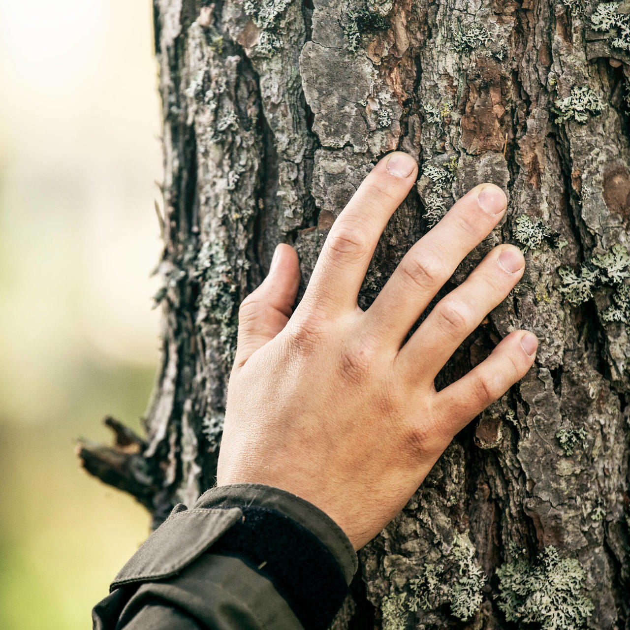 Metsä Tissue yhtiönä