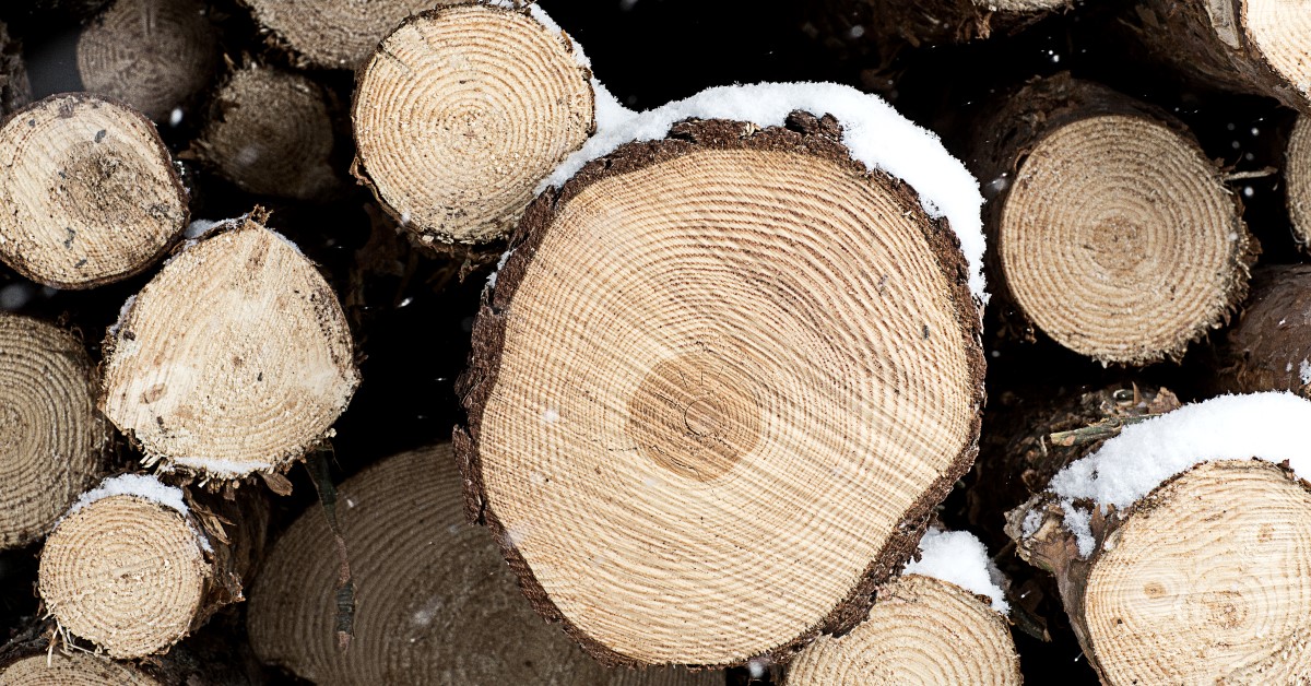 Efficient use of side streams | Metsä Tissue