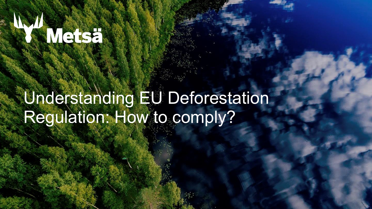 Understanding EU Deforestation Regulation: How to comply?